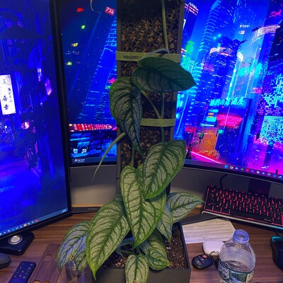 Stacker Adapter Stack Standard Tower on Top of XL Tower - Etsy