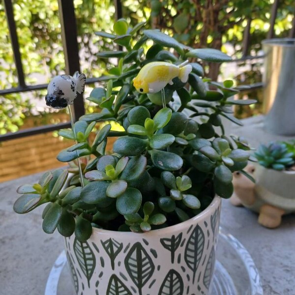Handmade Plant Accessory/ Decor - Ranchu Goldfish Plant Buddy - Etsy
