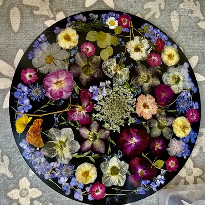 60 Pc Pressed Flowers Anemone Buttercup Periwinkle Daffodil Lenten Rose ...