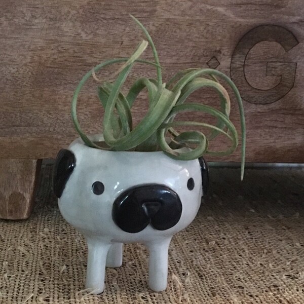 Pug Planter, Dog Plant Pot, Succulent Pot, Ceramic Pug Pot - Etsy