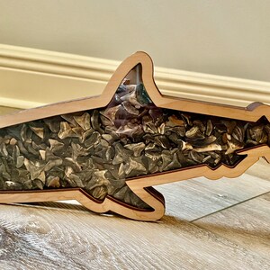 Shark Teeth Shadow Box for Shark Teeth, Small Shells, Fossils, Agates ...