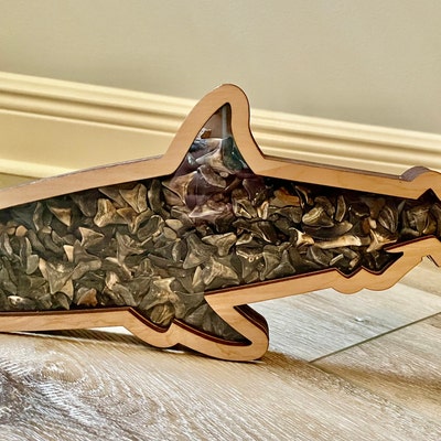Shark Teeth Shadow Box for Shark Teeth, Small Shells, Fossils, Agates ...