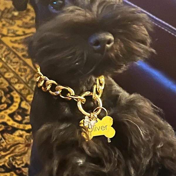 Lightweight Cuban Link Dog Necklace for Dog, Chain Dog Collar Gold ...