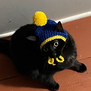 Apple Hat for Cats - Etsy
