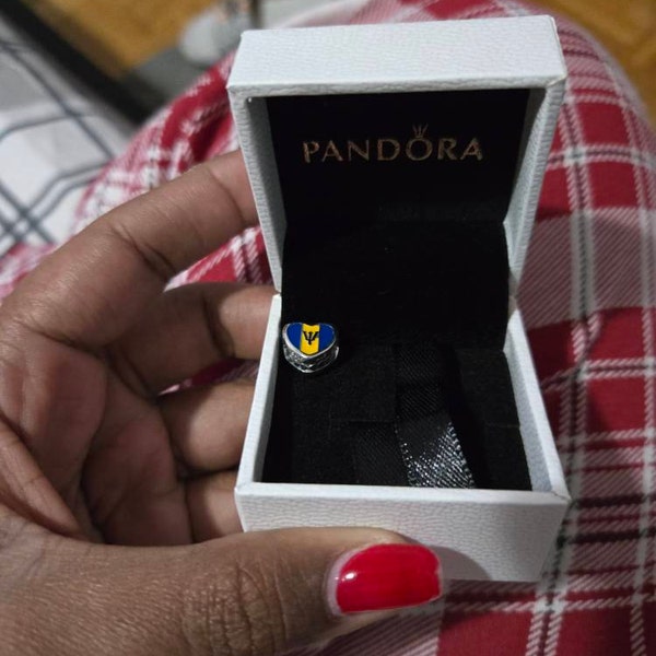 Pandora HOME Florida Map Exclusive Dangle Charm Charm for Bracelet and ...