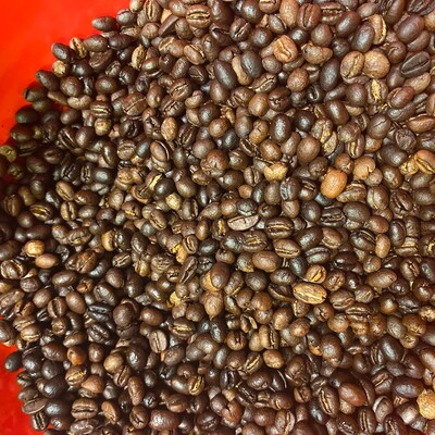 8 Pounds Green Coffee Beans Sample Pack Ultimate Sample - Etsy