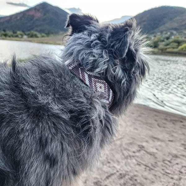 Beaded Leather Cowboy Hatband: Western Style - Etsy