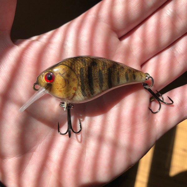 Custom Painted Wiggle Wart, Green Sunfish - Etsy