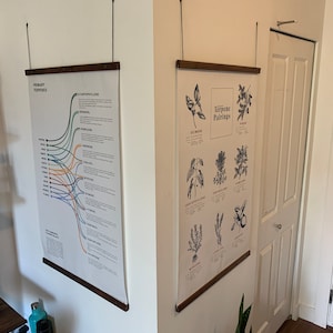 Primary Terpenes: Cannabis Flavors Infographic Chart Print, Cannabis ...