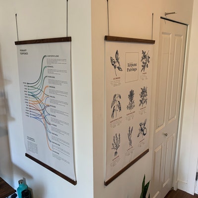 Coffee Family Tree Print, Coffee Varieties Chart, Rubiaceae Lineage ...