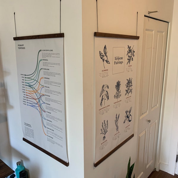 Microdosing Infographic Art Print, Cannabis Dosing Concept Poster by ...