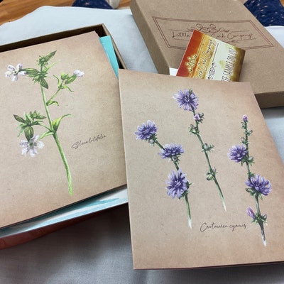 Watercolor Vintage Botanical Floral Wildflower Notecards 12 Card Gift ...