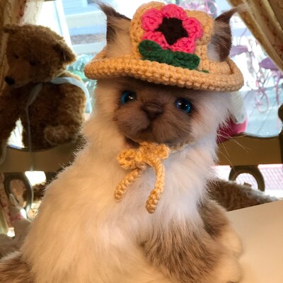Pink Flower Summer Hat Cat Hats Cat Costumes Cat Accessories Cat ...
