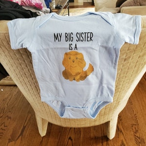 Labrador Retriever Laundry Wall Decor Black Lab Laundry Art | Etsy