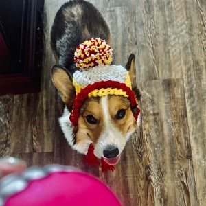 Corgi Beanie Dog Beanie Corgi Hats Dog Hat Dog Beanie Fur Baby Beanies ...