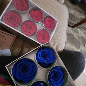 XL Size Single Preserved Rose, Metallic Preserved Rose, Gold Rose ...