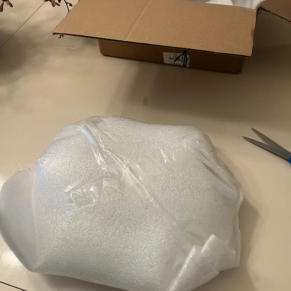 Wicked by Ciroa Halloween Raven Botanical Halloween Porcelain Dinner ...