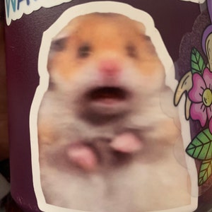 Surprised Shock Hamster Meme Funny Car Bumper Sticker Interior or ...