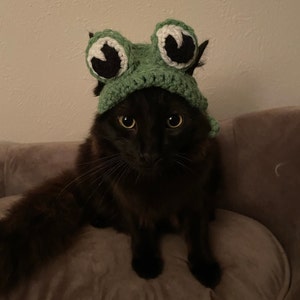Frog Hat for Cats, Funny Feline Frog Accessory / Costume, Frog Hat With ...