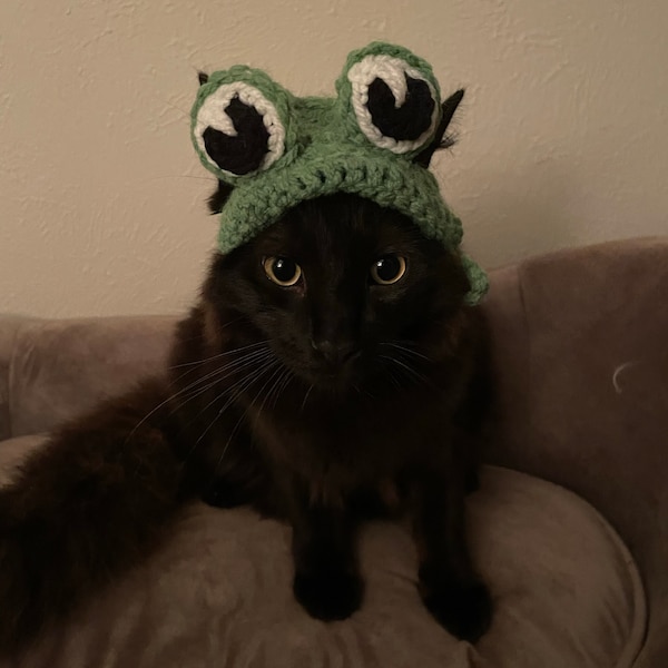 Frog Hat for Cats, Funny Feline Frog Accessory / Costume, Frog Hat With ...