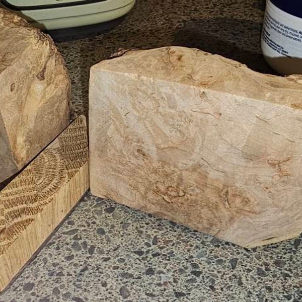 Hollow Log Redbud Wood - Etsy