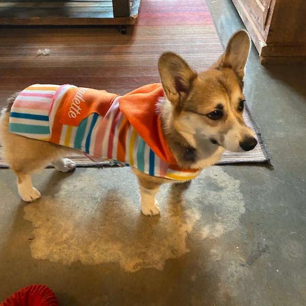 Custom Corgi Hoodies - Etsy