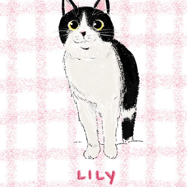 Custom Badly Drawn Pet Portrait, Personalized Cat Portrait, Unique Pet ...