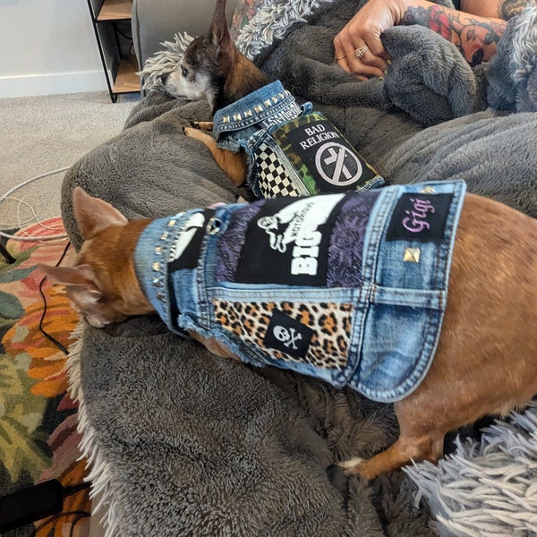 Large Punk Rock Dog Jacket/battle Vest Featuring Cute as Hell Baphomet ...