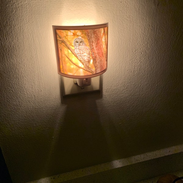Canvas Owl Night Light, Owl Gift, Plug in Night Light, Barred Owl ...