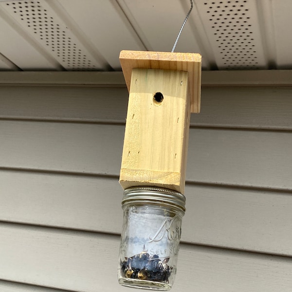Best Carpenter Bee Trap chalet Style Carpenter Bee Trap wood Boring Bee ...