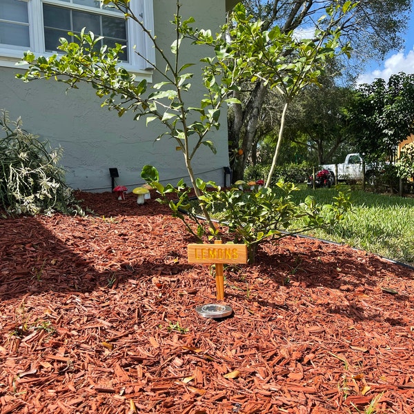 LEMONS Rustic Tree Sign, Hand Routed, Citrus Tree Marker, Yellow Garden ...