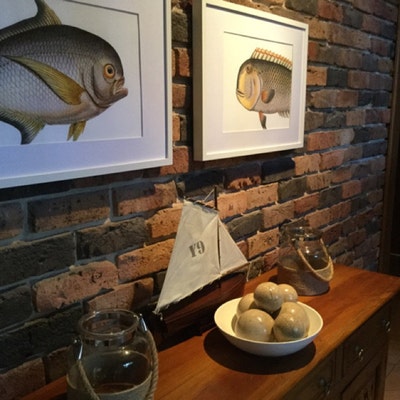 Blue Conch Shell Nautical Vintage Style Art Print Beach House - Etsy