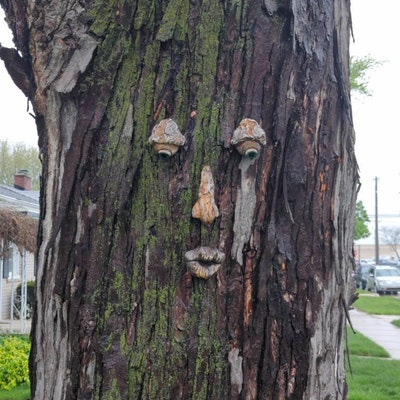 Forrest Stump Concrete Tree Face, Birthday Gifts, Gardeners Gift, Glass ...