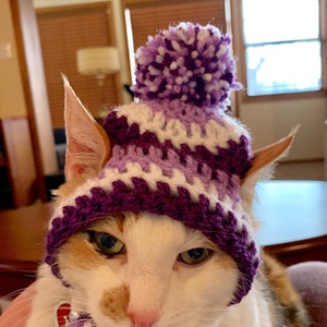 Hat for Cats, Toboggan Cat Hat, Beanie for Cats & Kittens, Cat Stocking ...