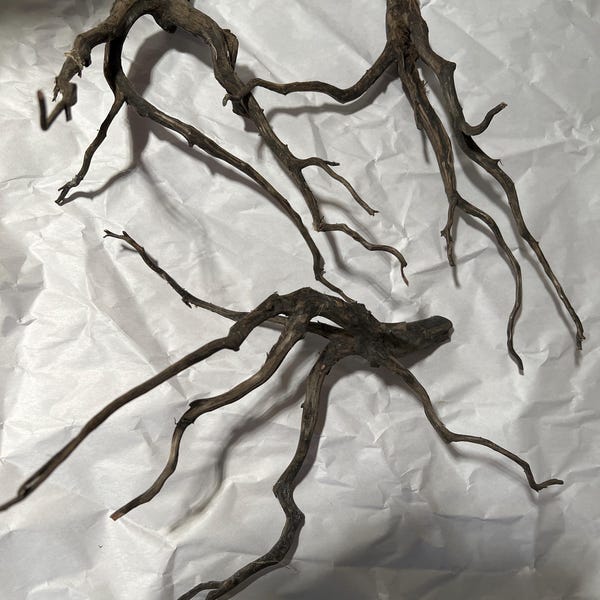 Root Twigs - Etsy