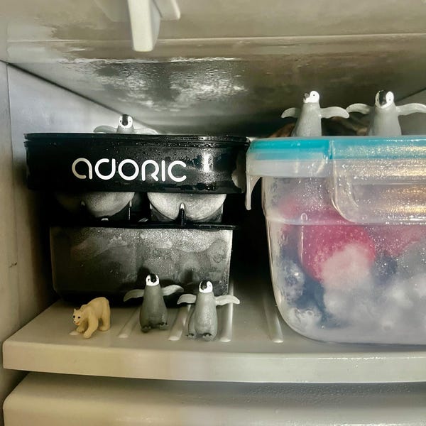 Set of Miniature Buffalo Mini Buffalo Bison Terrarium Supplies Teeny ...