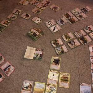 Ecologies Card Game Gameplay Inspired by Nature Use | Etsy