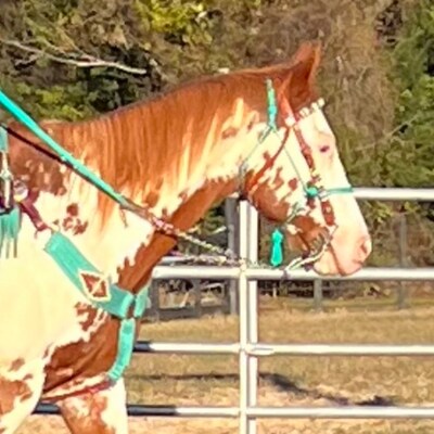 Custom Braided Reins Custom Paracord Reins Custom Reins Roper Reins ...