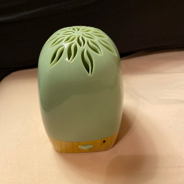 Arctic Wolf Premium Plugables® Home Fragrancer Electric Plugin Oil Diffuser | Fragrance Oil Plug ...