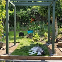 The Curved Dragon Pergola Pressure Treated Top Quality - Etsy UK