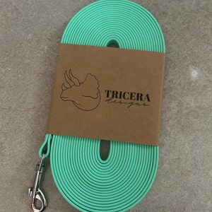 Slip Leash and Collar Combo With 1.5 Backing - Etsy