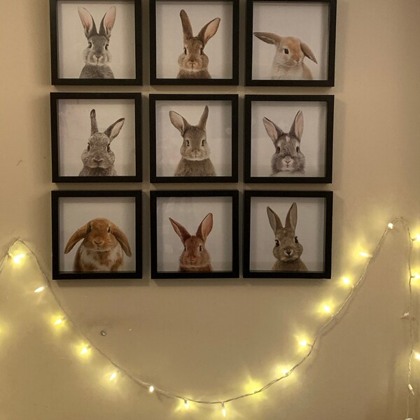 Rabbit Bunny Print, Nursery Animals, Printable Wall Art, Woodland Decor ...