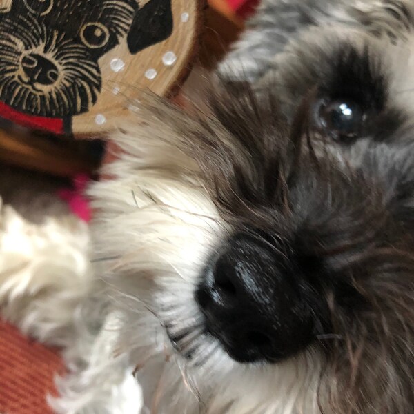 Schnauzer Dog Christmas Tree Decoration - Hand Printed - Handmade ...