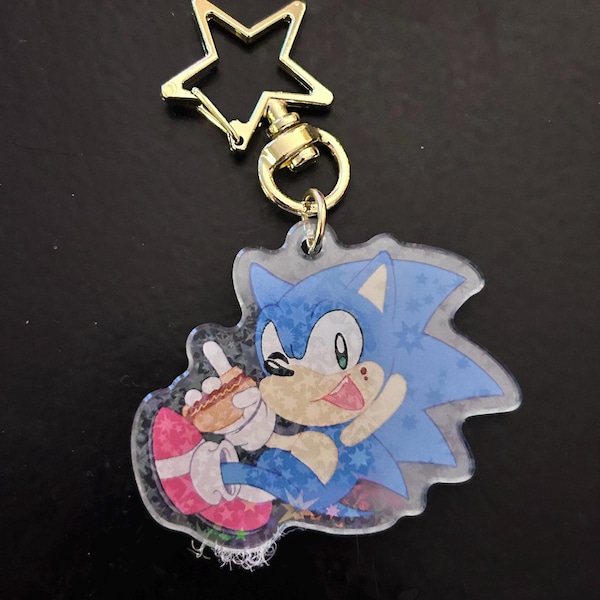 Cute Chibi Sonic Charms - Favorite Foods - Team Resistance Keychains - Etsy