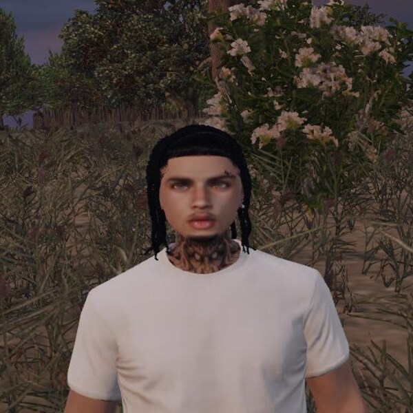 Romeo Premade | GTA5 | Fivem Skin | Female | File & Download - Etsy