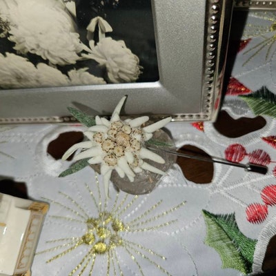 REAL Dried Flower Edelweiss Blossom Gift Ornament 3heart Shaped ...