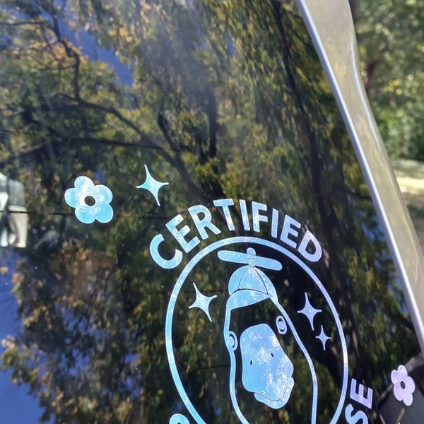 Certified Silly Goose on Board Holographic Bumper Car Window Transfer ...