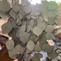 Fresh Leather Leaf Fern baker Fern Bunches free Shipping - Etsy