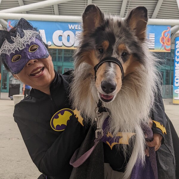 Star Wars Imperial Officer Patch Fully Embroidered Imperial Officer ...