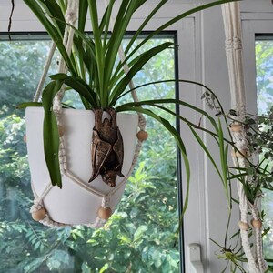 Peter Rabbit Pot Buddy Pot Hanger Beatrix Potter Gift - Etsy